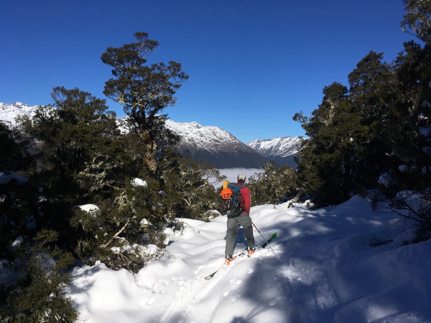 Mt Cross from Haast Pass, backcountry ski touring with a little bush ...